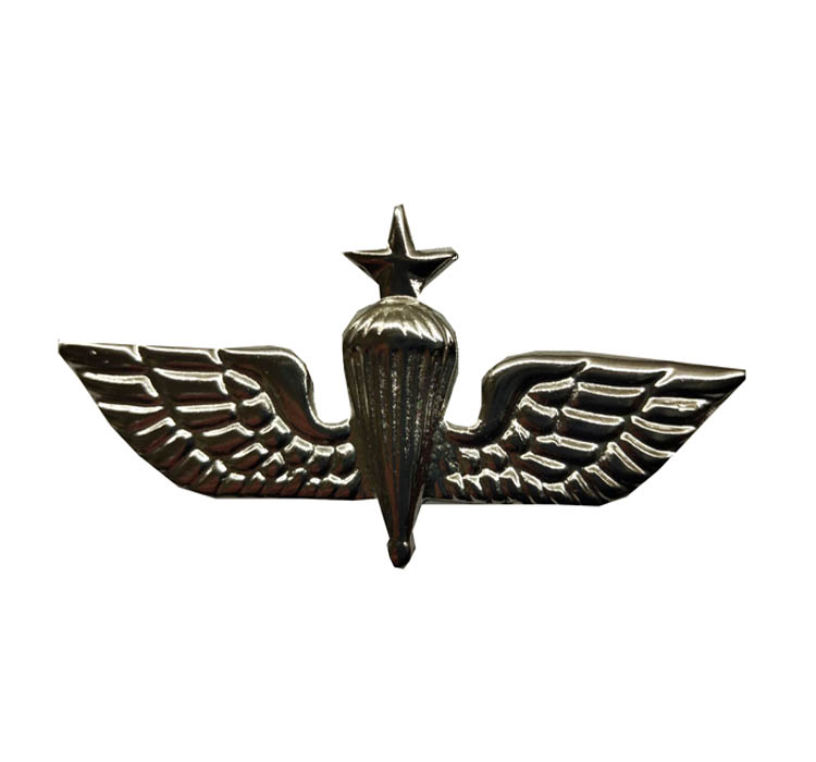 ΜΕΤΑΛΛΙΚΑ ΣΤΡΑΤΟΥ: ΠΟΥΛΑΔΑ ΜΕΤΑΛΛΙΚΗ ΜΕ ΑΣΤΕΡΙ ΑΛΕΞΙΠΤΩΤΙΣΤΩΝ